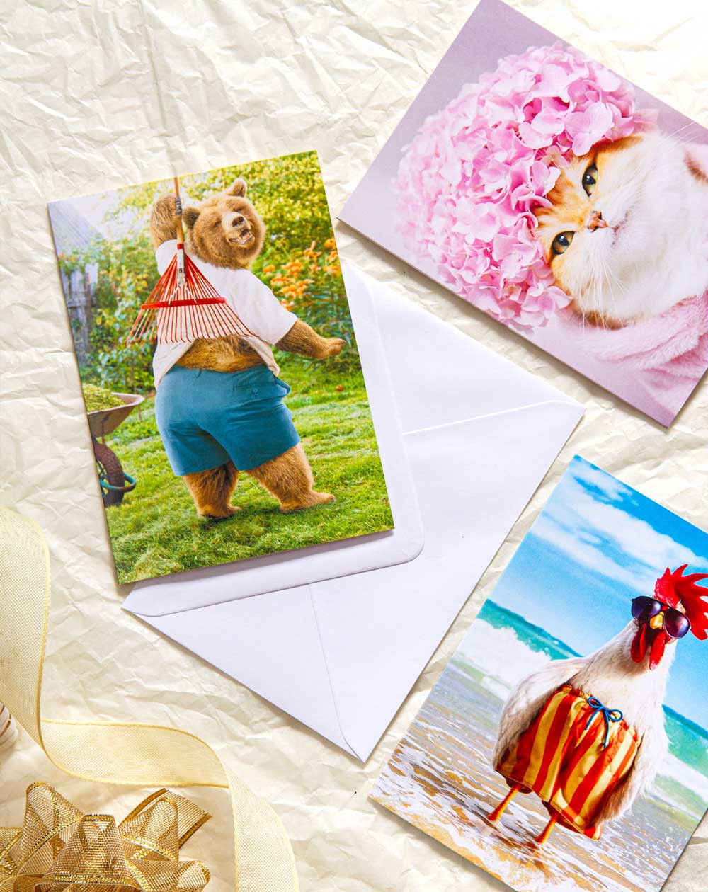 Avanti Card Scratching bear - Humor cards - Agapics