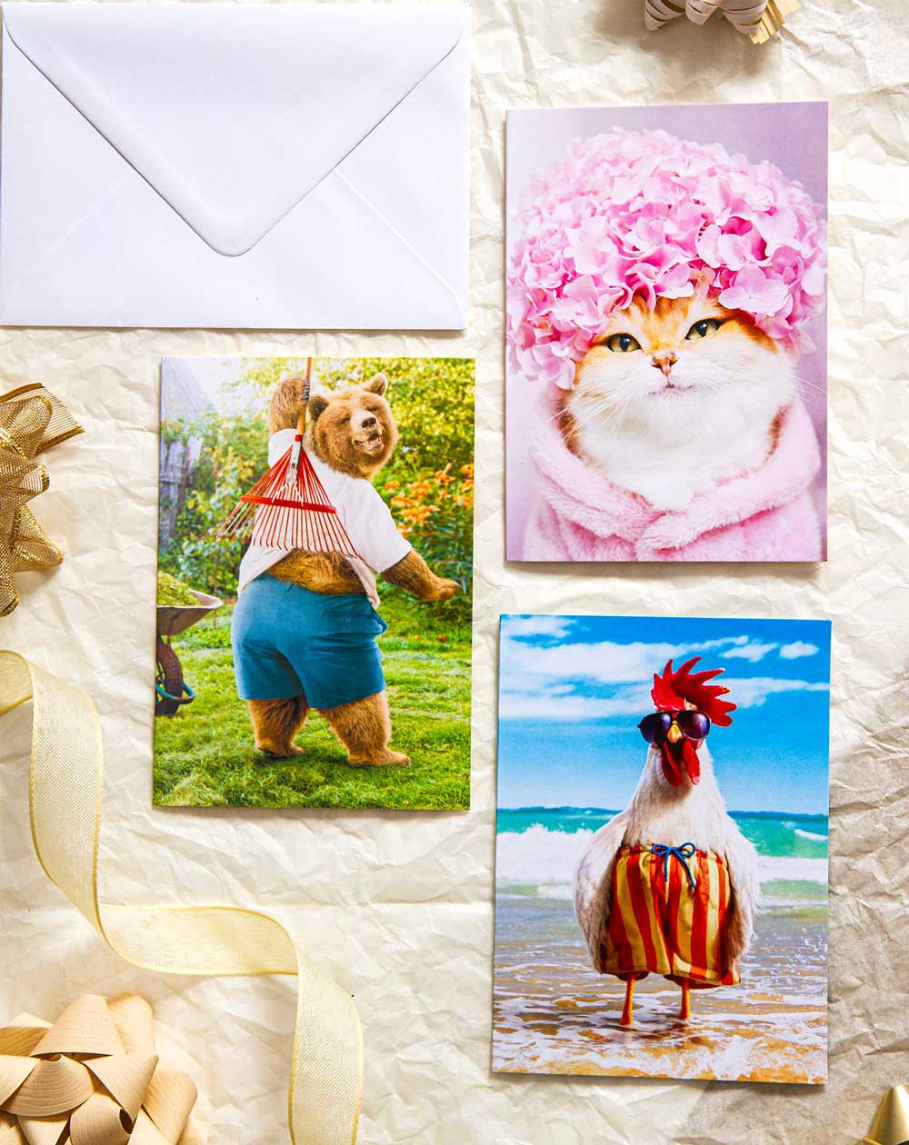 Avanti Card Scratching bear - Humor cards - Agapics