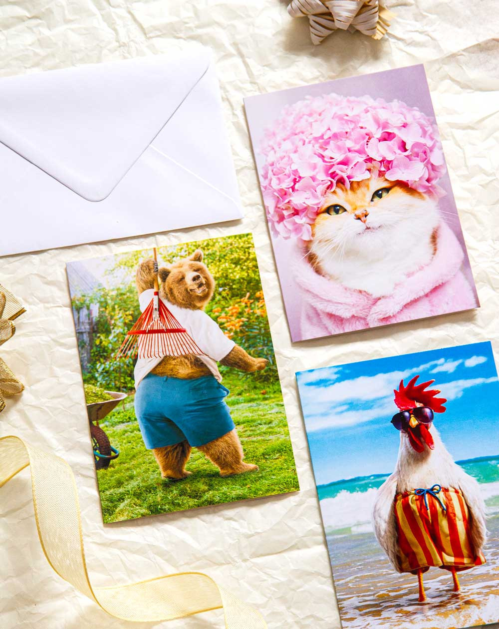 Avanti Card Scratching bear - Humor cards - Agapics